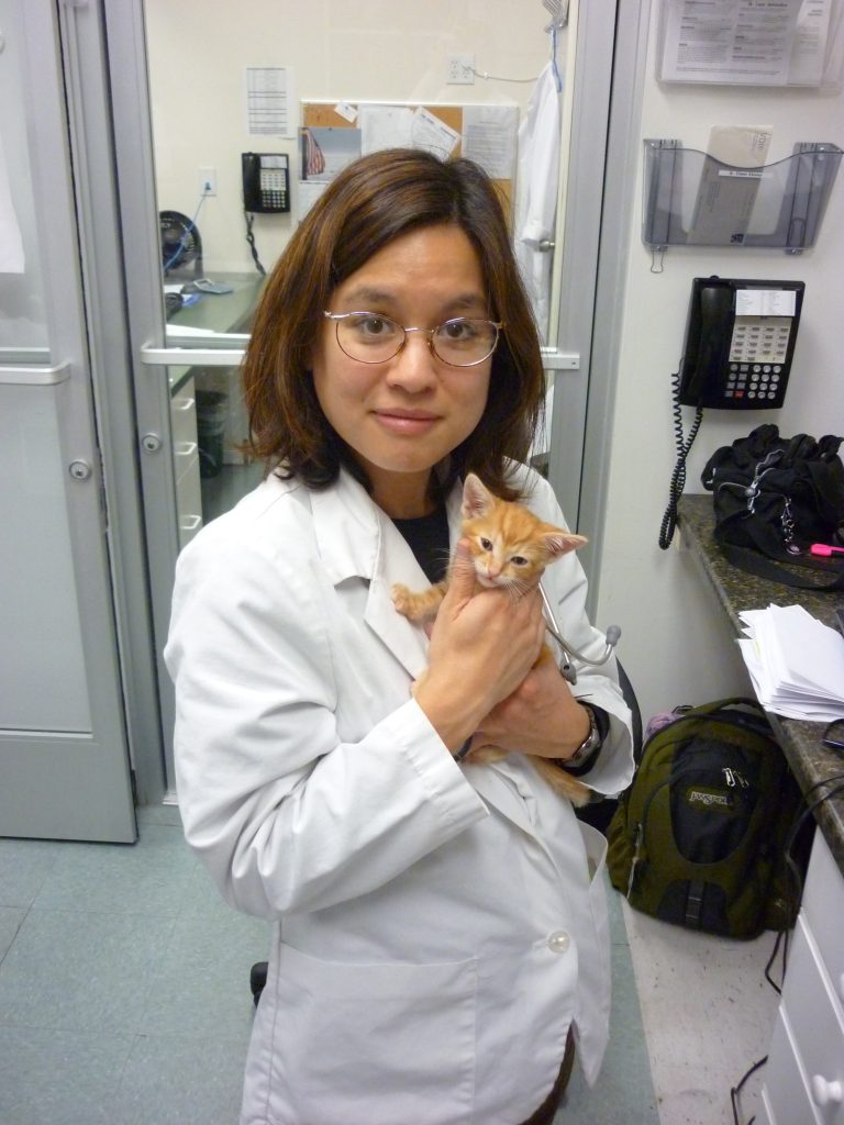 About – Stewart Veterinary Group